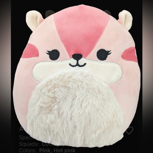 Squishmallows | Toys | Squishmallows Bnwt Ftm Dianalee The Chipmunk 7 ...
